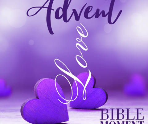 Diocese of Jamaica & The Cayman Islands – ANGLICAN